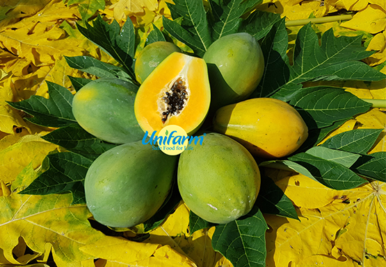 Agricultural products